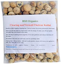 Bsd Organics Clearing nut/Nirmali/Thetran Kottai for Tea, Water ...