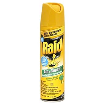 Raid Ant And Roach Killer Roaches Spray 17.5 Oz: Amazon.com: Industrial ...