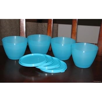 Amazon.com: Tupperware (4) REFRIGERATOR Bowl SET: Kitchen & Dining