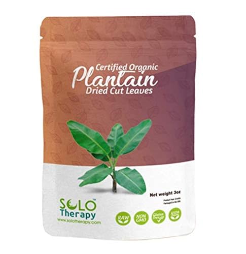 Plantain Leaf, 3 oz., Plantain Dried Cut Leaves , Plantago Major ...