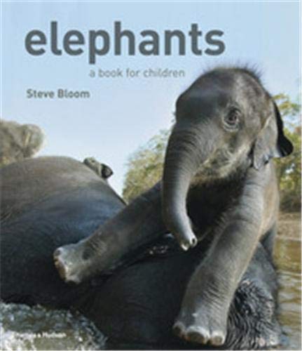 Elephants: A Book for Children: Bloom, Steve, Wilson, David Henry ...