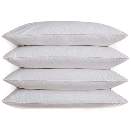 Linens Limited Value Range Polyester Hollowfibre Cushion Inner Pads, 50 ...