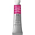 Amazon.com: Winsor & Newton Professional Water Colour Paint, 0.17-oz ...