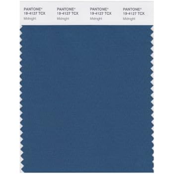 PANTONE SMART 19-0822X Color Swatch Card, Tarmac - House Paint - Amazon.com
