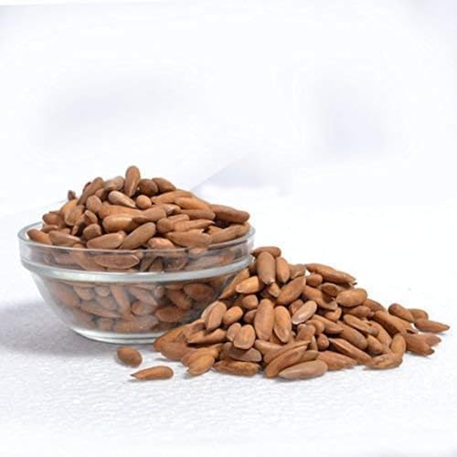 AlZafran pine nuts with shell pakistan, 1 kg price in UAE | Amazon UAE | supermarket kanbkam