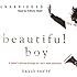 Beautiful Boy: A Father's Journey Through His Son's Addiction: David ...