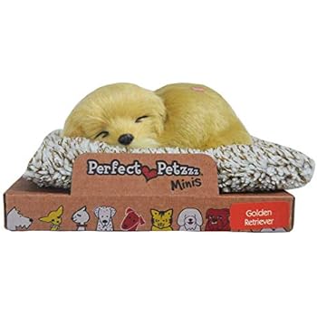 Amazon.com: Perfect Petzzz Mini Baby Pug Puppy Dog: Toys & Games