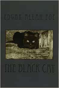 Amazon.com: The Black Cat: 9781532874239: Poe, Edgar Allan: Books