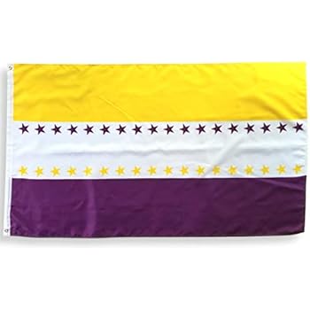 Amazon.com : Best Flags 19th Amendment Victory 3x5' Poly Flag ...
