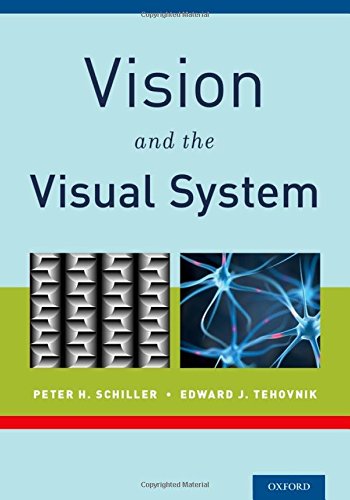 Vision and the Visual System: 9780199936533: Medicine & Health Science ...