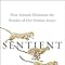 Sentient: How Animals Illuminate the Wonder of Our Human Senses ...
