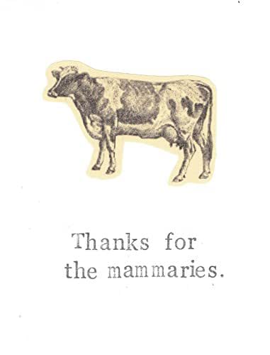 Amazon.com: Thanks For The Mammaries Funny Mother's Day Card | Mom Cow ...