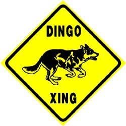 Amazon.com: DINGO CROSSING animal wild dog australia sign : Home & Kitchen