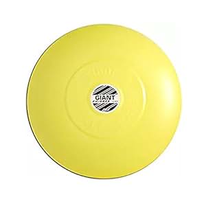 Amazon.com : GIANT FRISBEE SAUCER ORANGE : Flying Discs : Sports & Outdoors