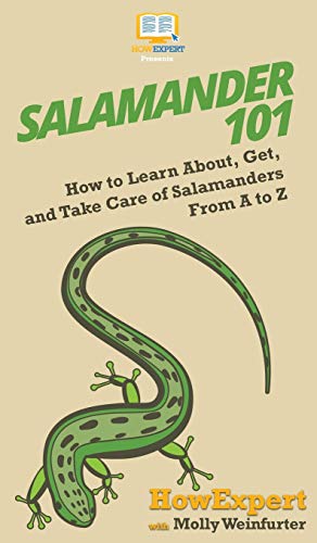 Salamander 101: How to Learn About, Get, and Take Care of Salamanders ...