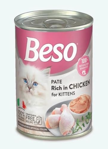 Beso Chicken pie Cat Food, 400 grams price in Saudi Arabia | Amazon ...