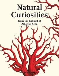 Natural Curiosities 14 Framable Prints From the Cabinet of Albertus ...