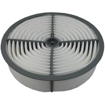 Amazon.com: Lexus 17801-50010-83, Air Filter: Automotive