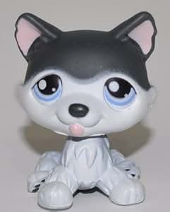 Amazon.com: Husky #210 (White, Black Accents) - Littlest Pet Shop ...