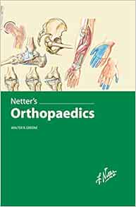 Netter's Orthopaedics (Netter Clinical Science): 9781929007028 ...