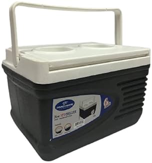 سعر PRINCEWARE Ice Box 6L Grey فى مصر | بواسطة امازون مصر | كان بكام