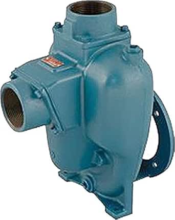 MP Pumps 24555 FLOMAX15 3" x 3" Self Priming Centrifugal Pump, Cast ...