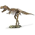Amazon.com: Edu-Toys T-Rex Skeleton 36" Scale Replica Model | Assemble ...