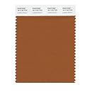 PANTONE SMART 18-1142X Color Swatch Card, Leather Brown - Wall Decor ...