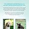 The Labrador Handbook: The definitive guide to training and caring for ...