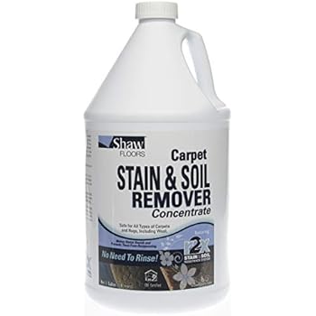 Amazon.com: Shaw R2X Carpet Stain & Soil Remover 32 Ounces Spray: Home ...