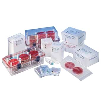 Amazon.com: BD Diagnostic 260683 GasPak EZ Anaerobe Pouch System (Pack ...