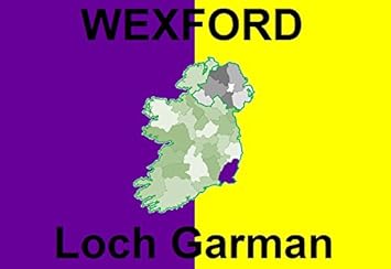 County Wexford Flag Republic of Ireland Car Art Bumper Sticker Weather ...