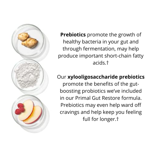 Primal Harvest Restore for Gut Health, Primal Gut Restore w/POSTbiotics ...