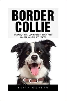 Border Collie: Training Guide - Learn How To Train Your Border Collie ...
