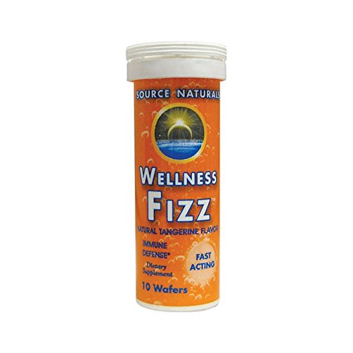 Amazon.com: Source Naturals Wellness Fizz, Natural Berry Flavor, 10 ...