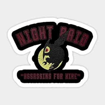 Amazon.com: Night Raid - Sticker Graphic - Car Vinyl Sticker Decal ...