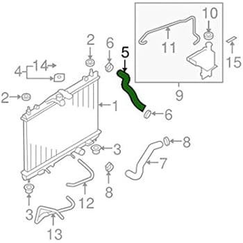 Amazon.com: Genuine Nissan (21501-EL000) Radiator Hose: Automotive