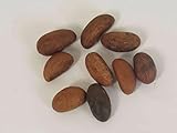 Kola nut - How to grow & care