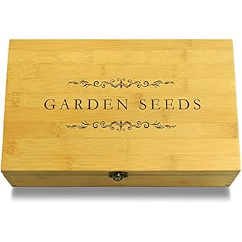 Amazon.com : Seed Storage Container and Organizer Box for Your Garden ...