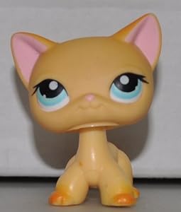Amazon.com: Shorthair Cat #339 (Orange, Blue Eyed, Rust Tail) Littlest ...