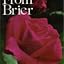 Rose from Brier: Amy Carmichael: 9780875080772: Amazon.com: Books