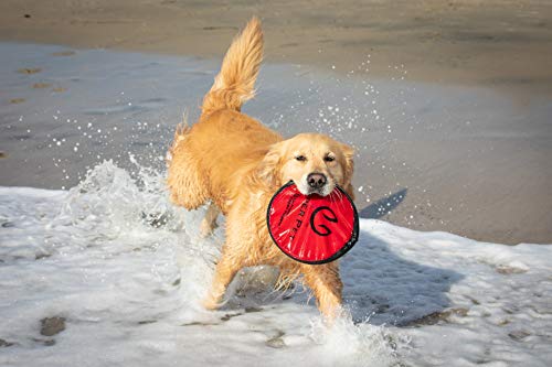 Hyper Pet Flippy Flopper 9" Flying Disc Soft Dog Toy, Floats in Water ...