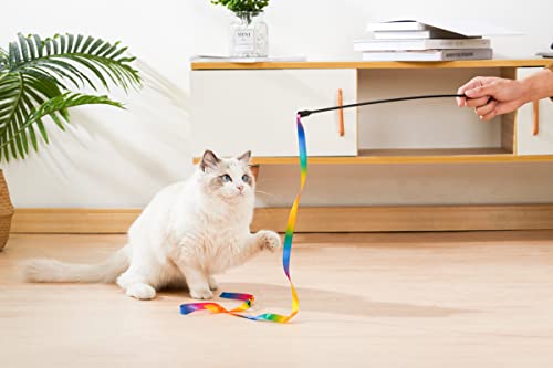 Maxpower Planet Cat Toys Wand for Indoor Cats - Cat Toys Interactive ...