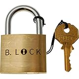 Amazon.com: Danlock Puzzle: Toys & Games