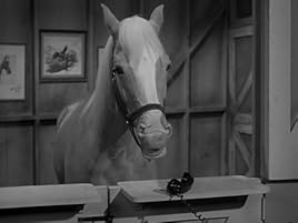 Amazon.com: Watch Mister Ed Season 1 | Prime Video