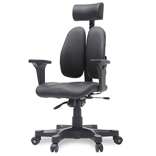Duorest Gold Renewal - Ergonomic Dual Backrests, Home Office Desk ...