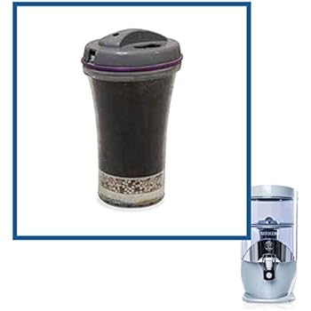 Amazon.com: Nikken Waterfall 1 Filter Cartridge 13845 - Replacement for ...