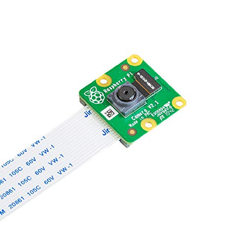 Raspberry Pi Camera Module V2-8 Megapixel,1080p (RPI-CAM-V2 + 20"/500mm ...