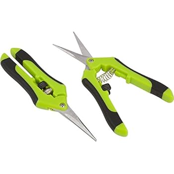 Amazon.com : GARDEN PRUNING SNIPS- 2 Pack, Green Micro Tip Garden ...