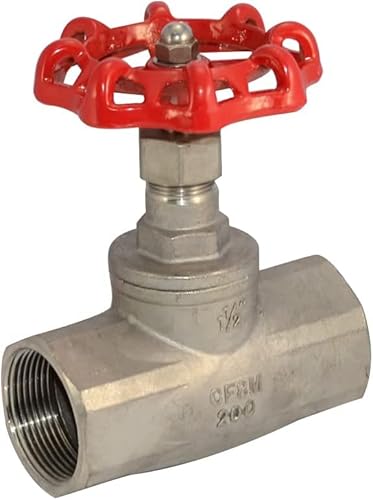 DAN SPEED NPT Female Threaded Heavy Duty Globe Valve,Inline,Stainless ...